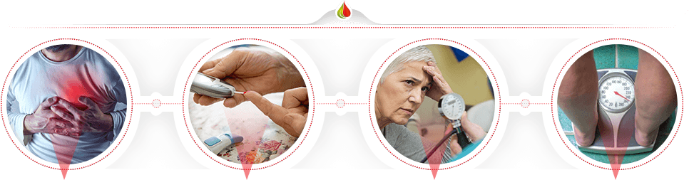 TrueBalance Blood Support